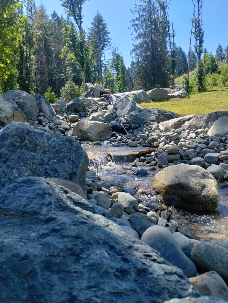 Landscape and Water Features » Island Irrigation